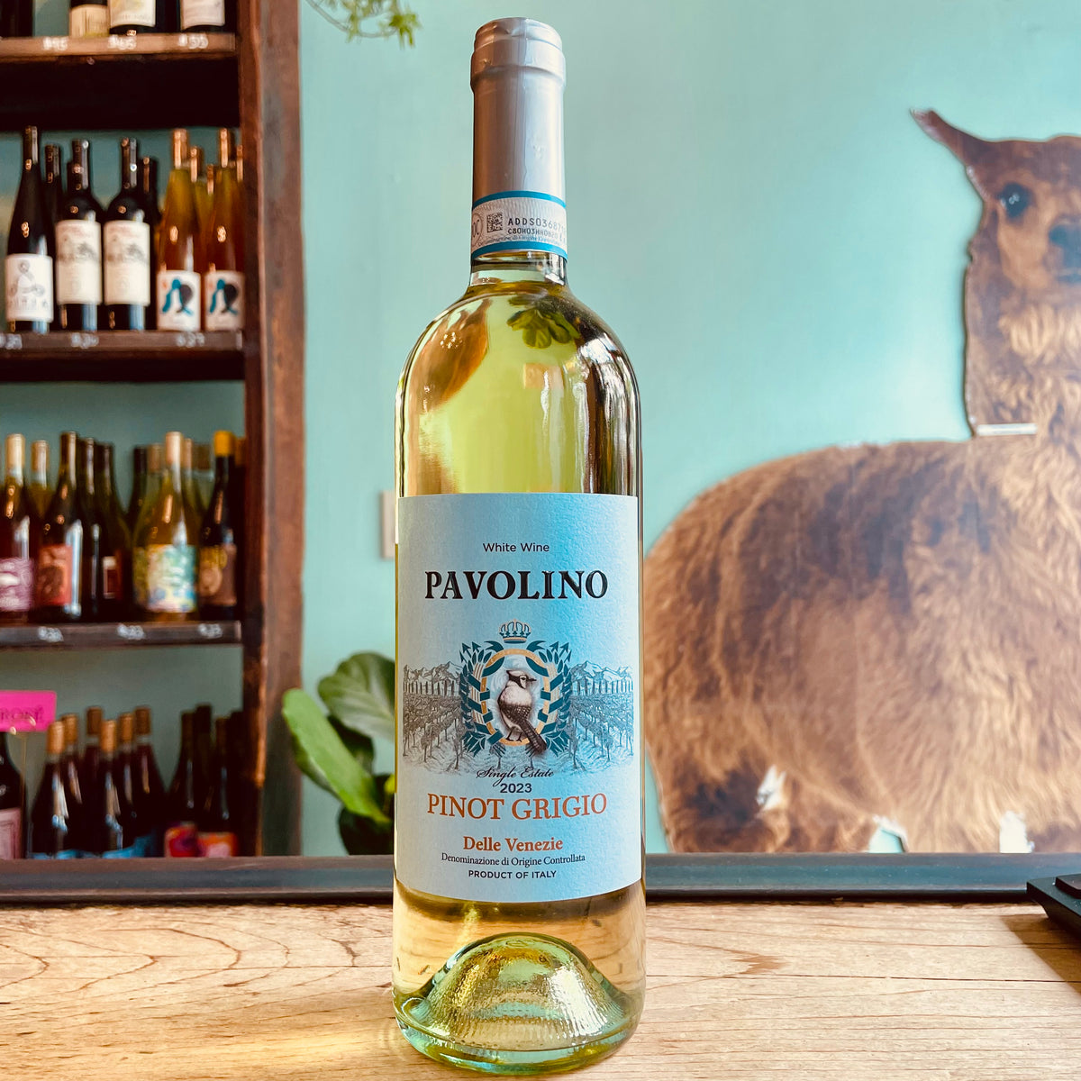 Pavolino Pinot Grigio 2023 (Kosher)