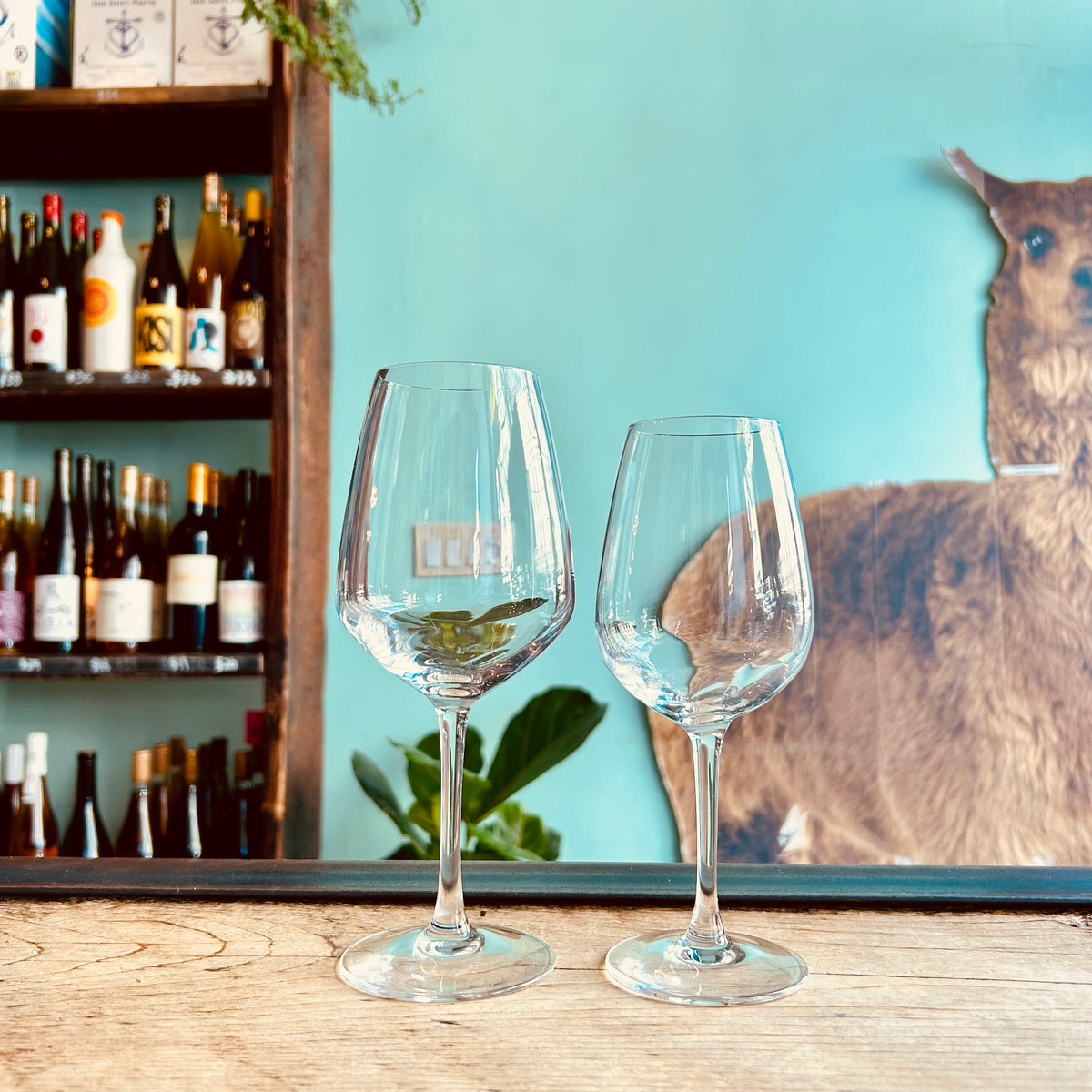 Arcoroc Wine Glasses